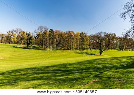 Fresh Spring Grass On Image & Photo (Free Trial) | Bigstock