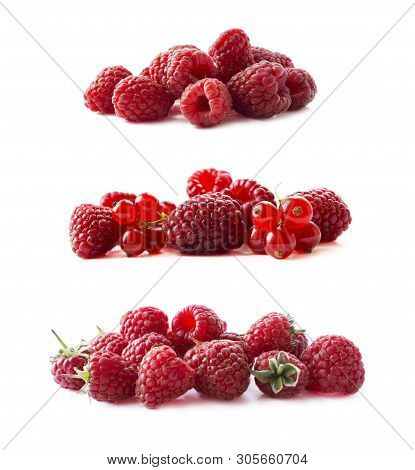 Red Raspberries Images, Illustrations & Vectors (Free) - Bigstock