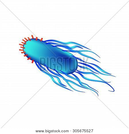 Structure Bacteria Image & Photo (Free Trial) | Bigstock
