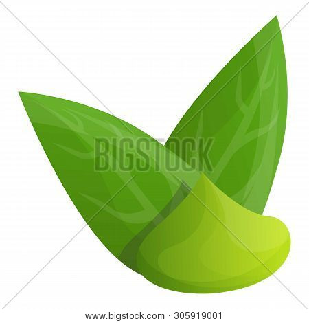 Matcha Tea Leaf Icon Vector & Photo (Free Trial) | Bigstock