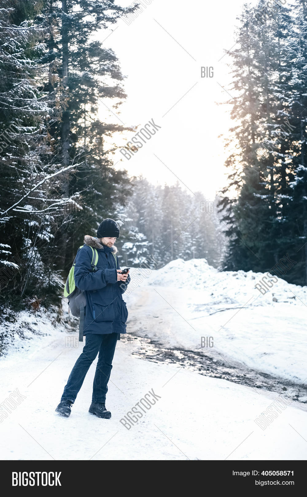 Walk Winter Forest. Image & Photo (Free Trial) | Bigstock