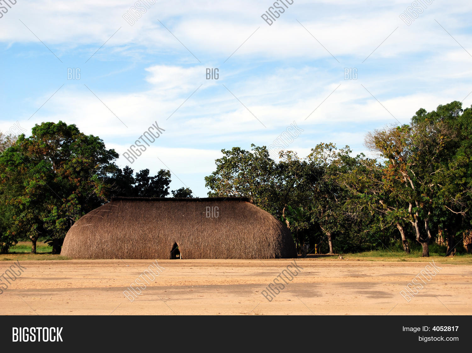 Typical House Amazon Image & Photo (Free Trial) | Bigstock