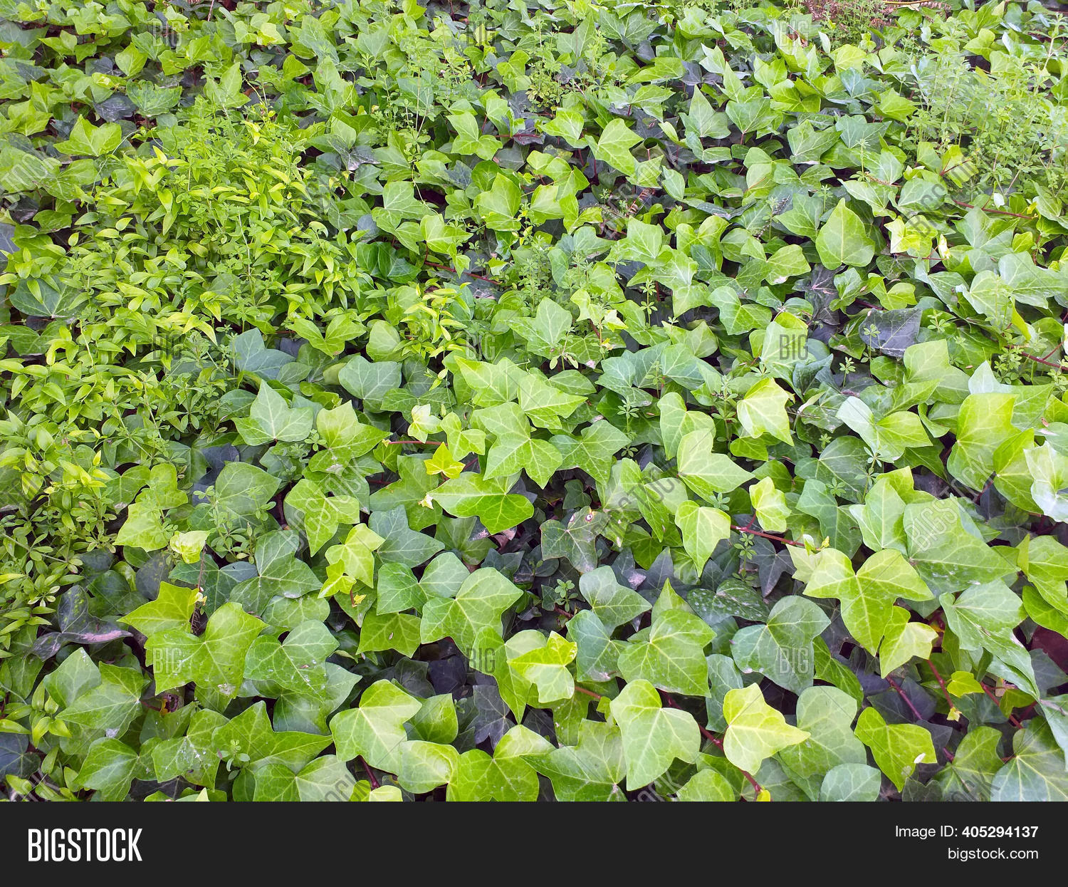 Aerial View Ground Image & Photo (Free Trial) | Bigstock