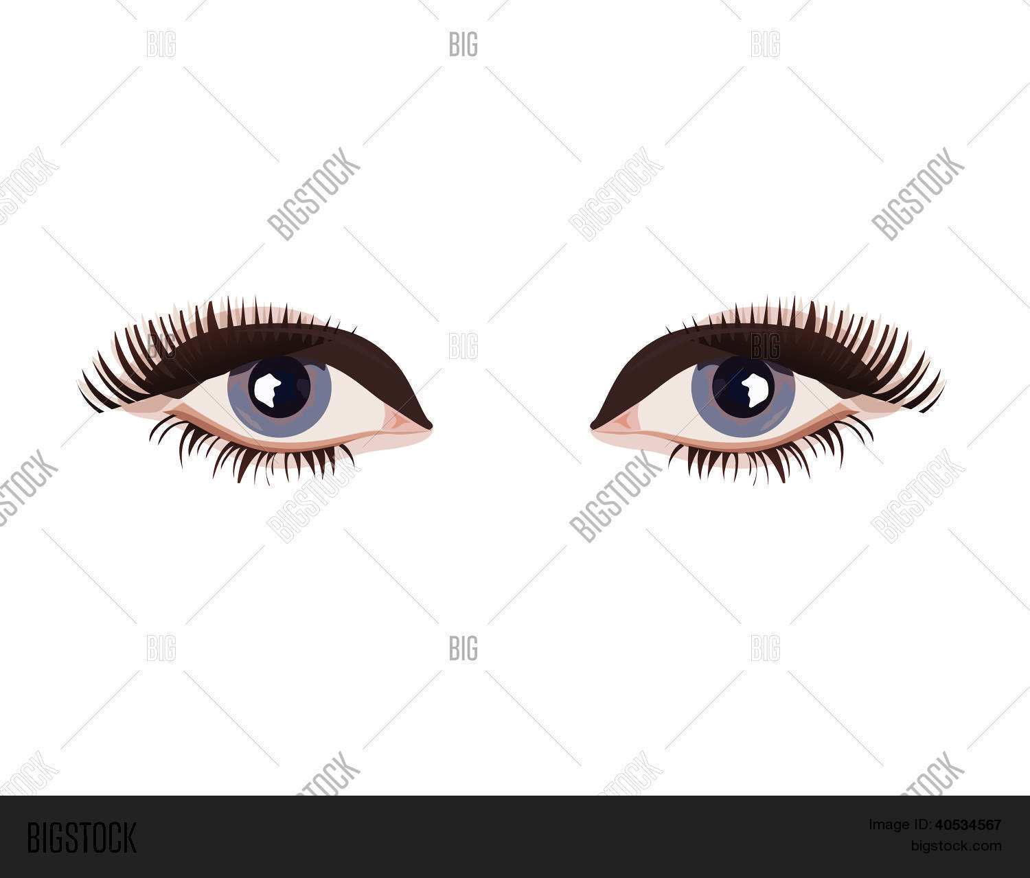 Female Eyes Vector Vector & Photo (Free Trial) | Bigstock
