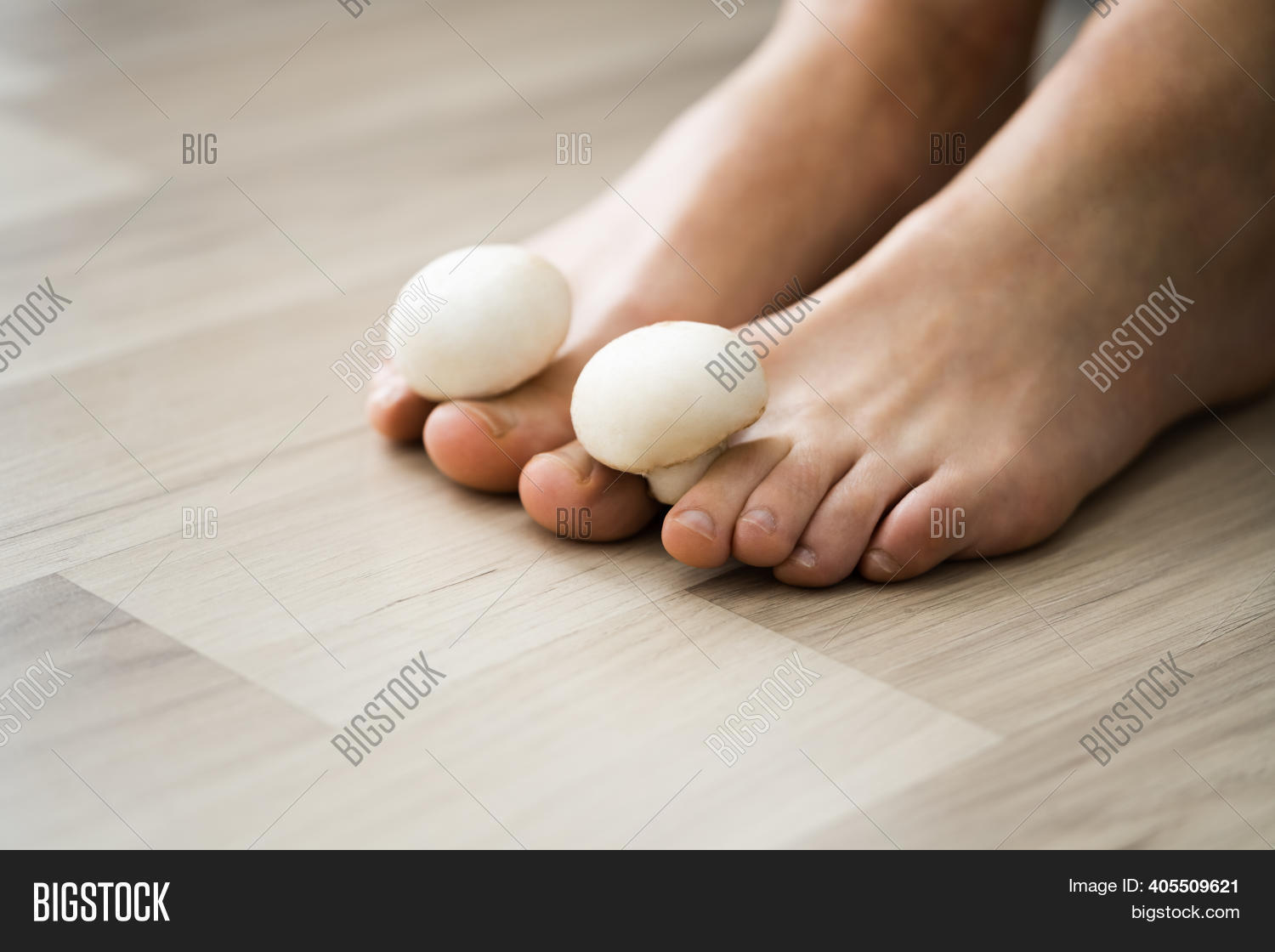 Fungus Mushroom Image & Photo (Free Trial) | Bigstock