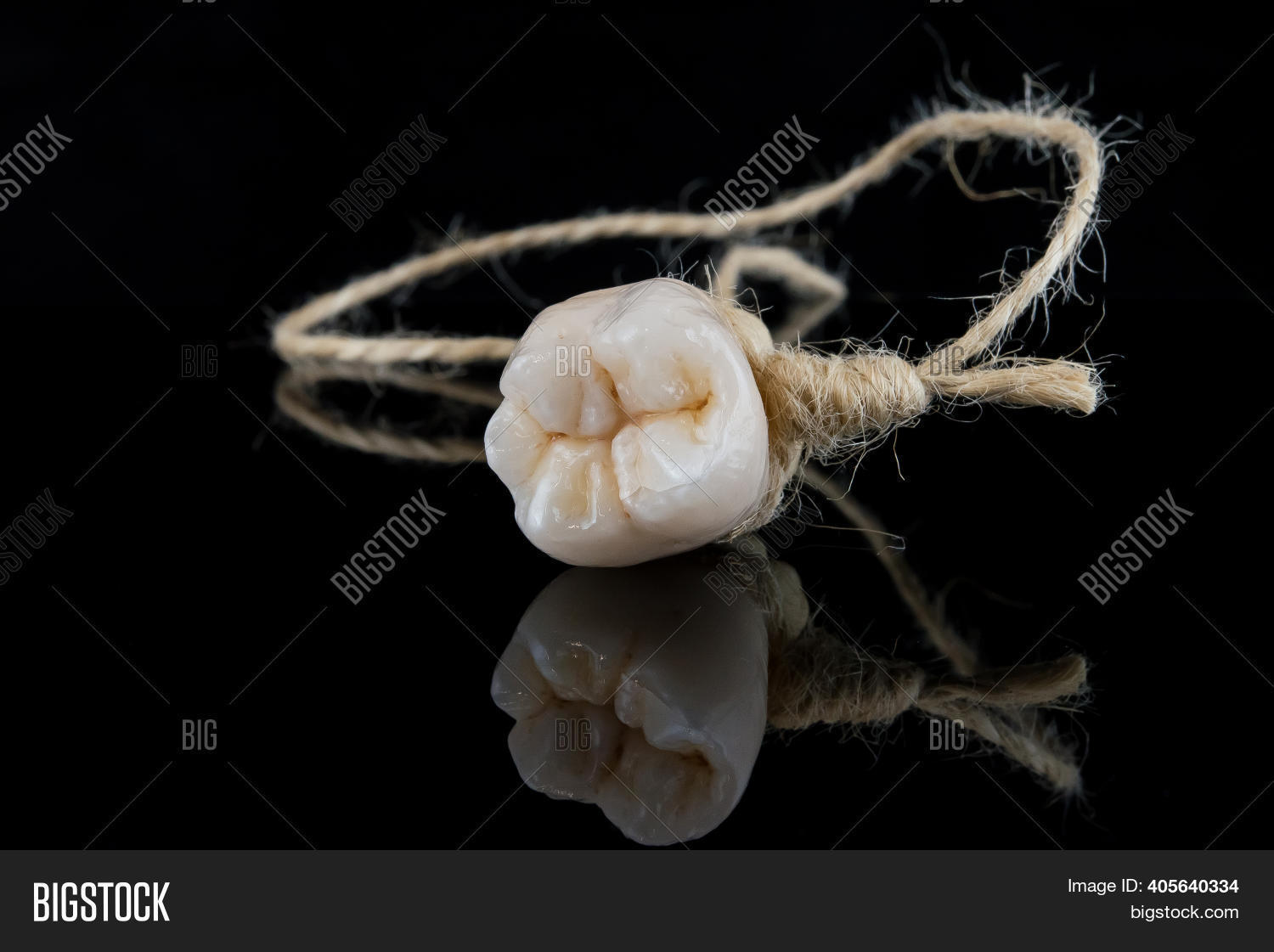 Tooth Extracting Image & Photo (Free Trial) | Bigstock