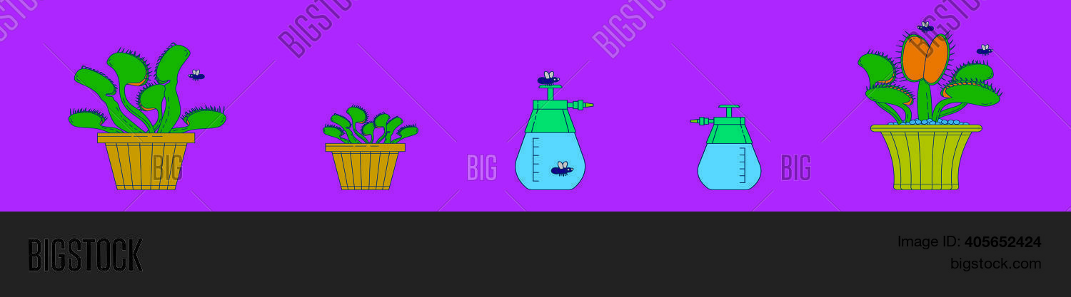 Set Venus Fly Trap Vector & Photo (Free Trial) | Bigstock
