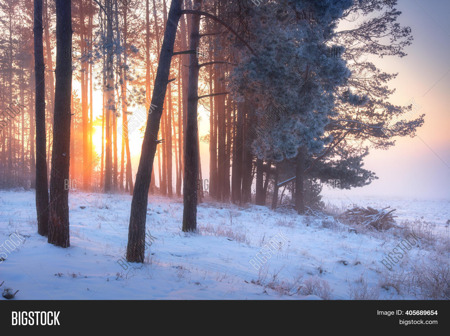 Winter Sunrise. Winter Image & Photo (Free Trial) | Bigstock