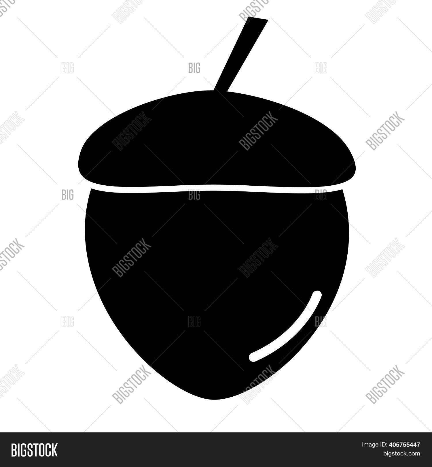 Acorn Icon On White Image & Photo (Free Trial) | Bigstock