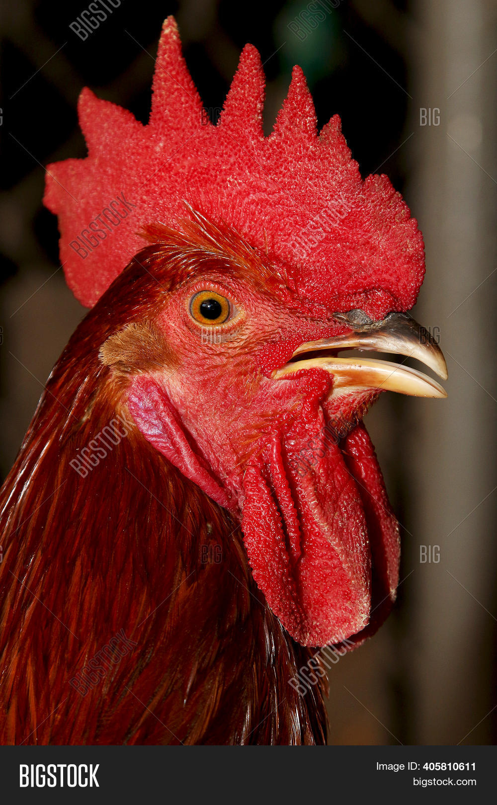 Portrait Beautiful Red Image & Photo (Free Trial) | Bigstock