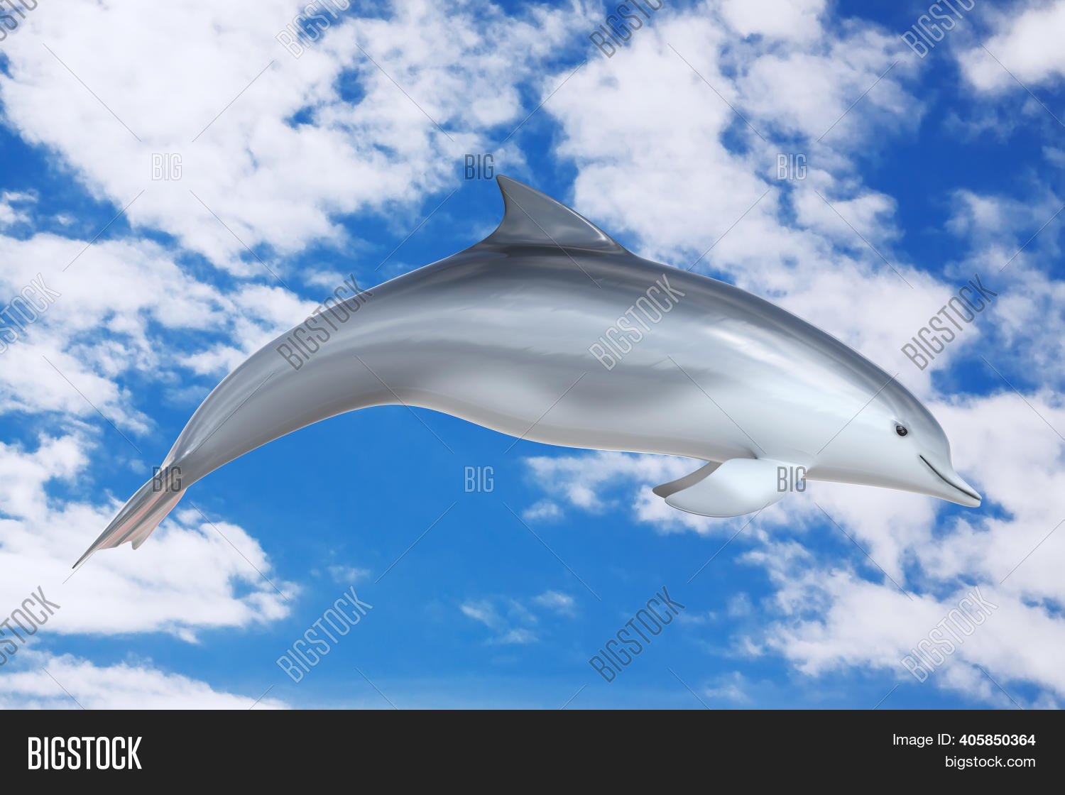 Tursiops Truncatus Image & Photo (Free Trial) | Bigstock