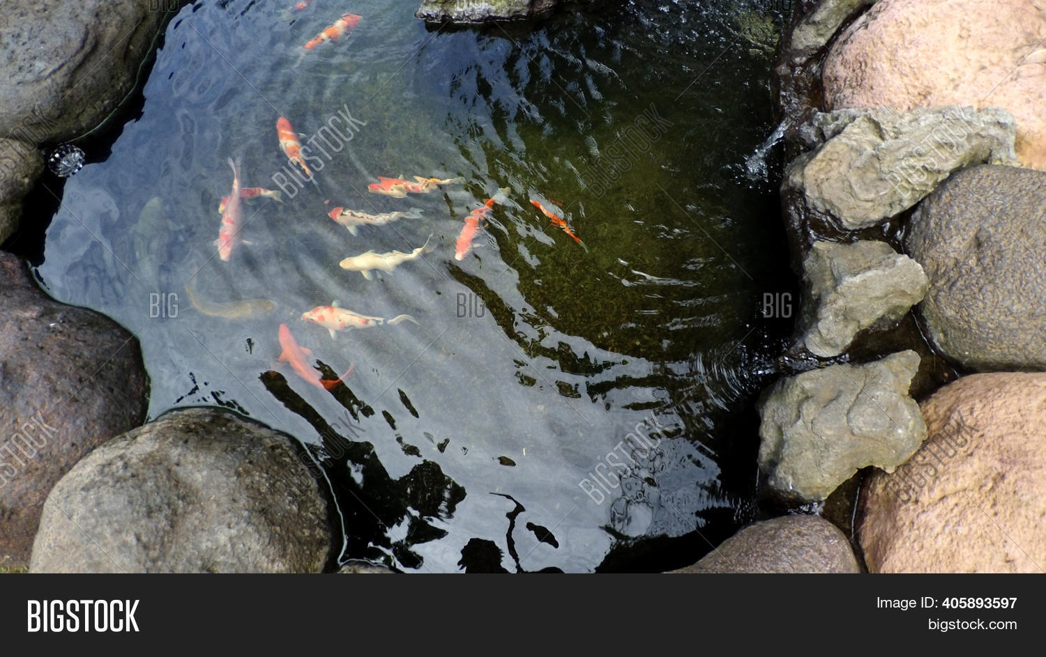Koi Fish Artificial Image & Photo (Free Trial) | Bigstock
