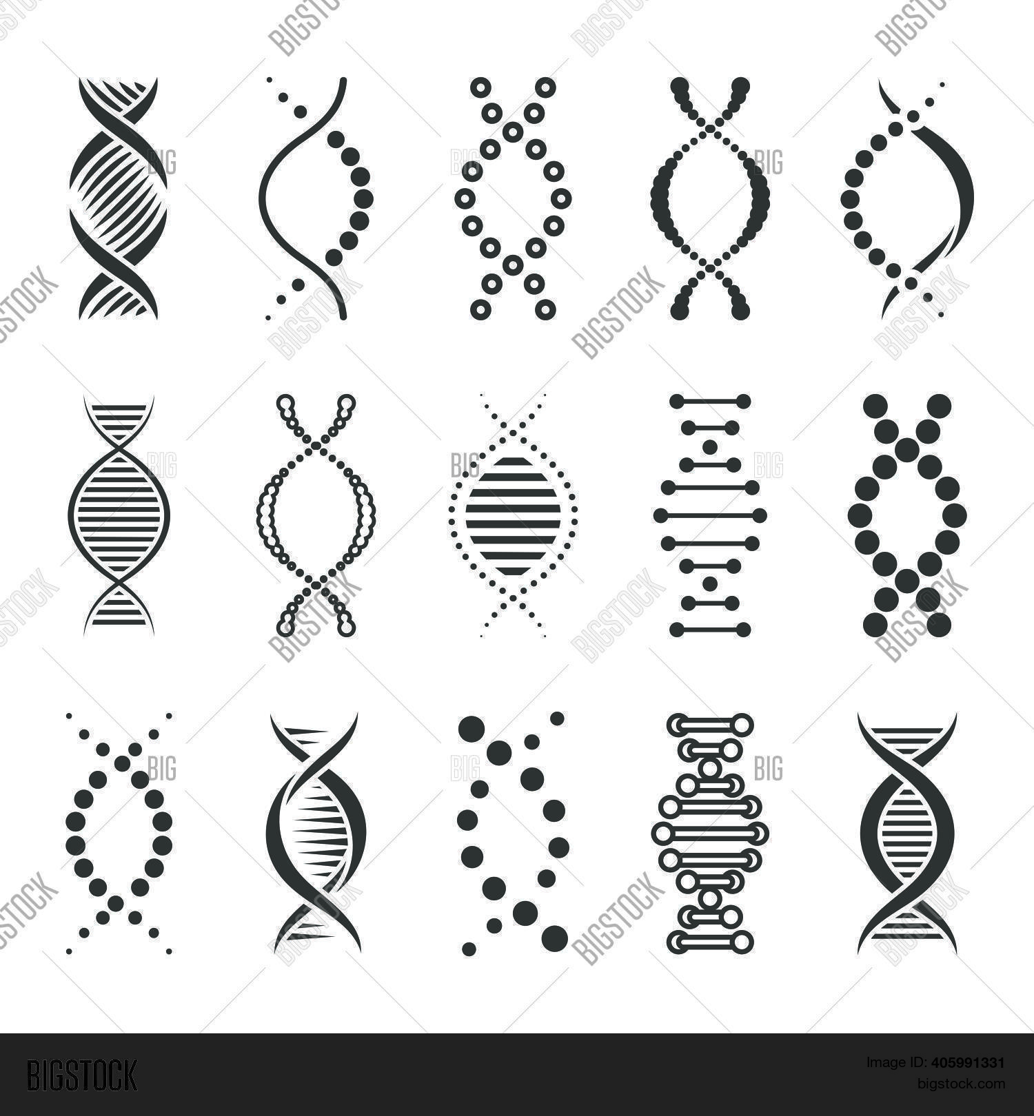 Chromosome Laboratory Vector & Photo (Free Trial) | Bigstock