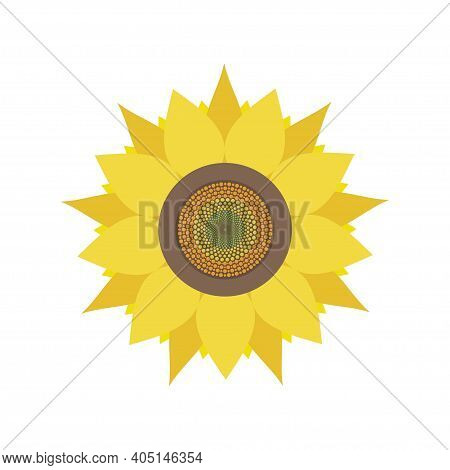 Sunflower Head Icon. Vector & Photo (Free Trial) | Bigstock