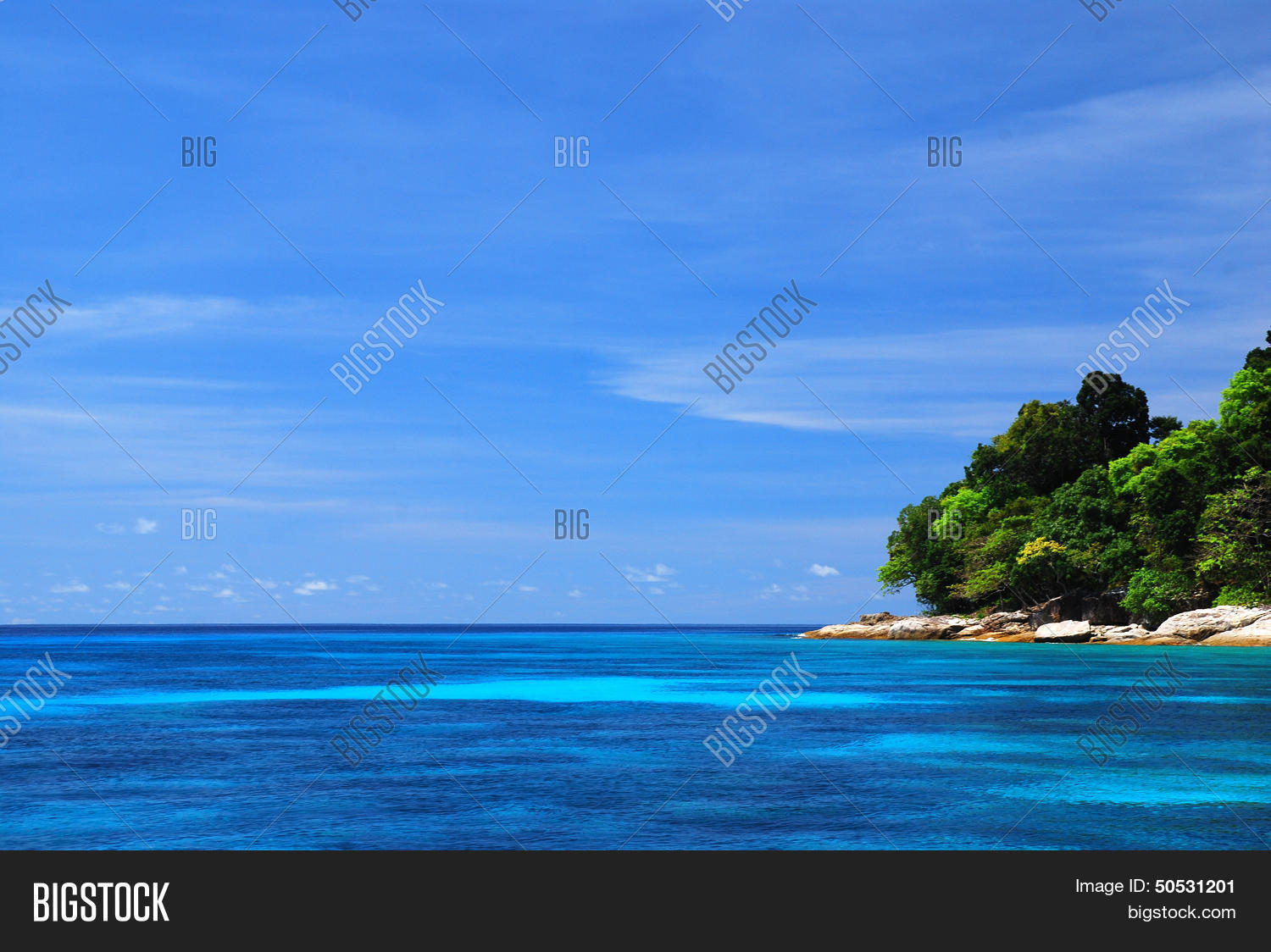 Blue Sea Coral Reef Image & Photo (Free Trial) | Bigstock