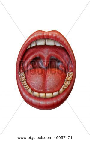 Mouth Anatomy Image & Photo (Free Trial) | Bigstock