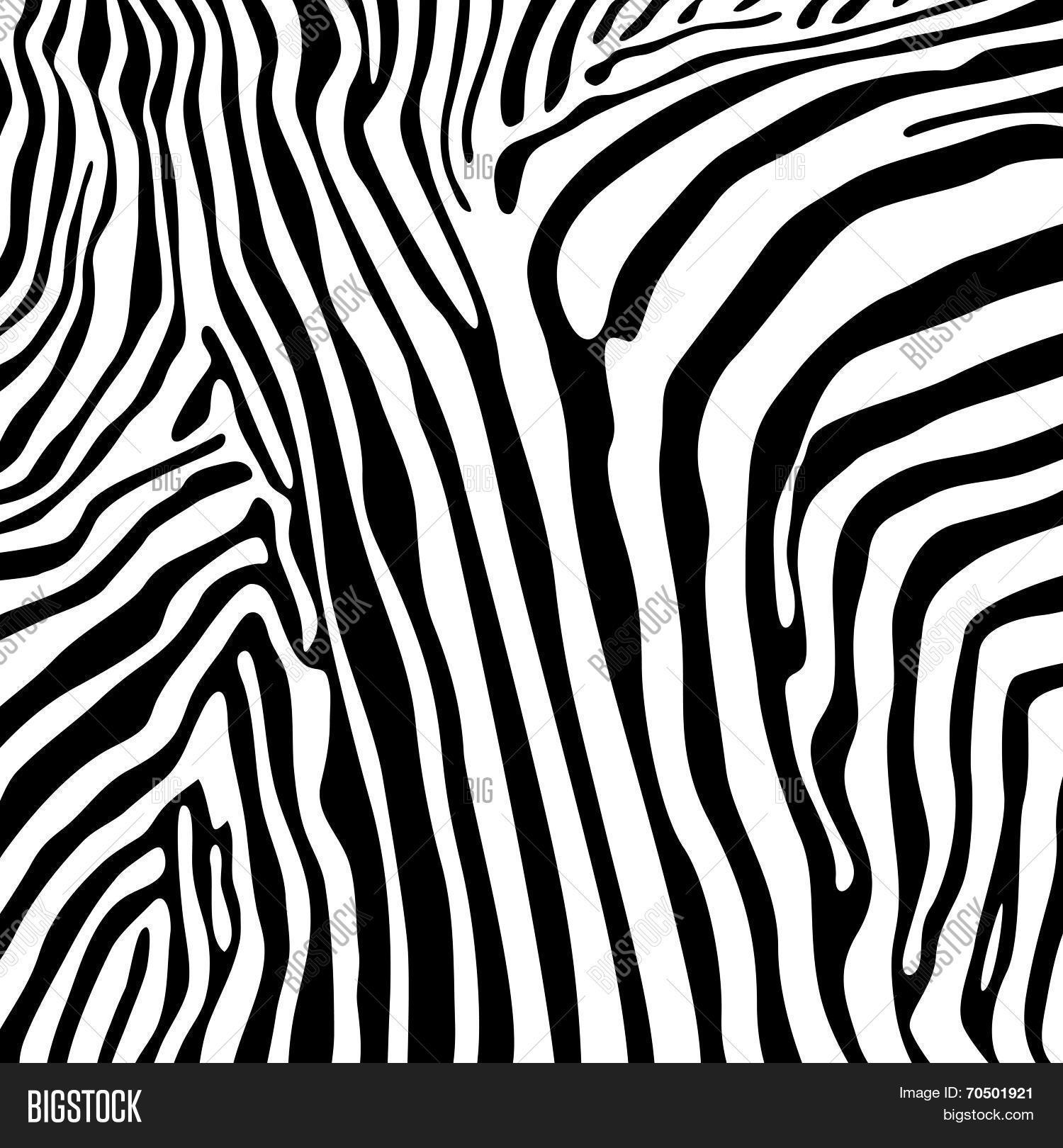 Savannah Pattern Vector & Photo (Free Trial) | Bigstock