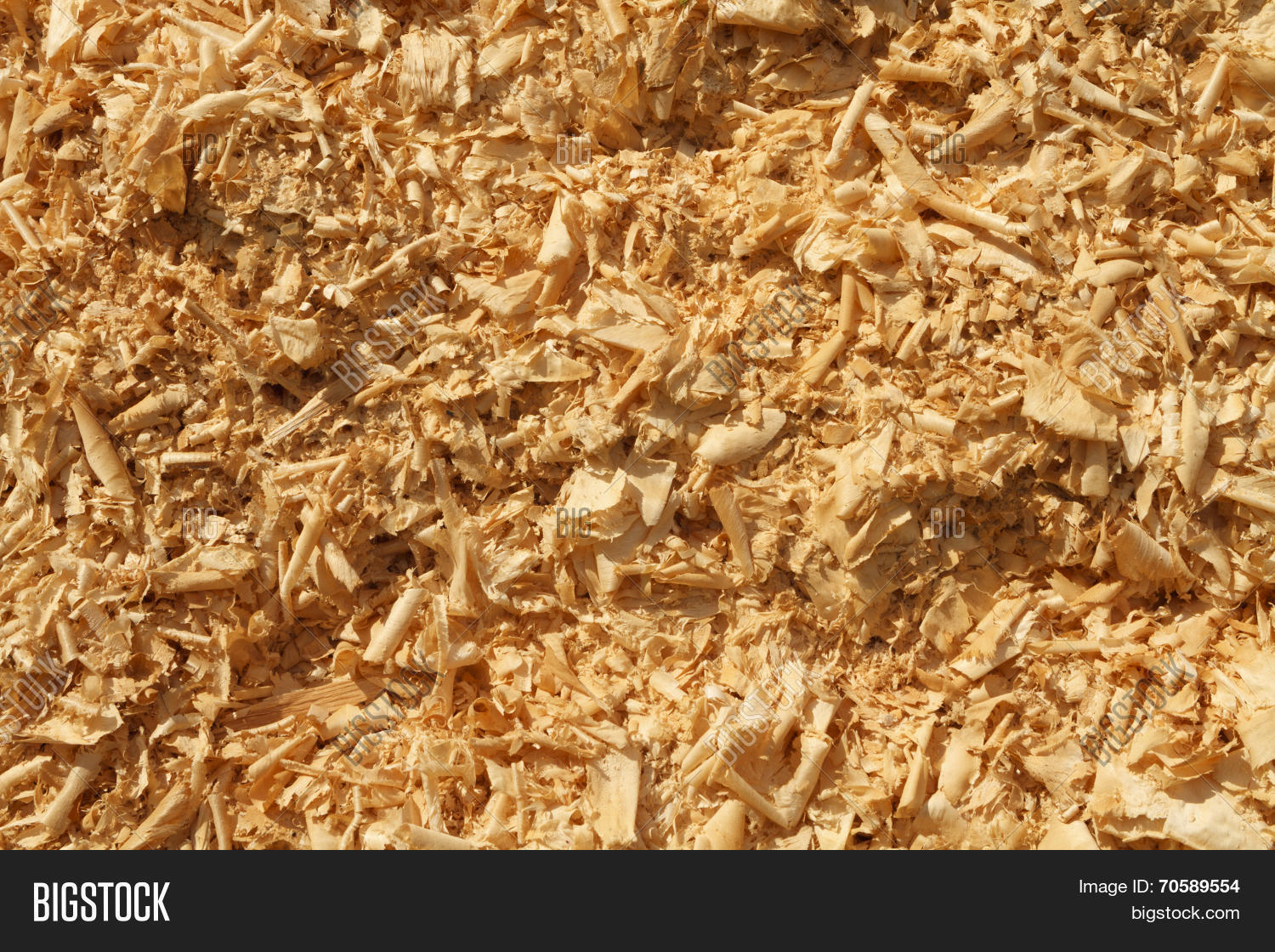 Wood Shavings Sawdust Image & Photo (Free Trial) | Bigstock