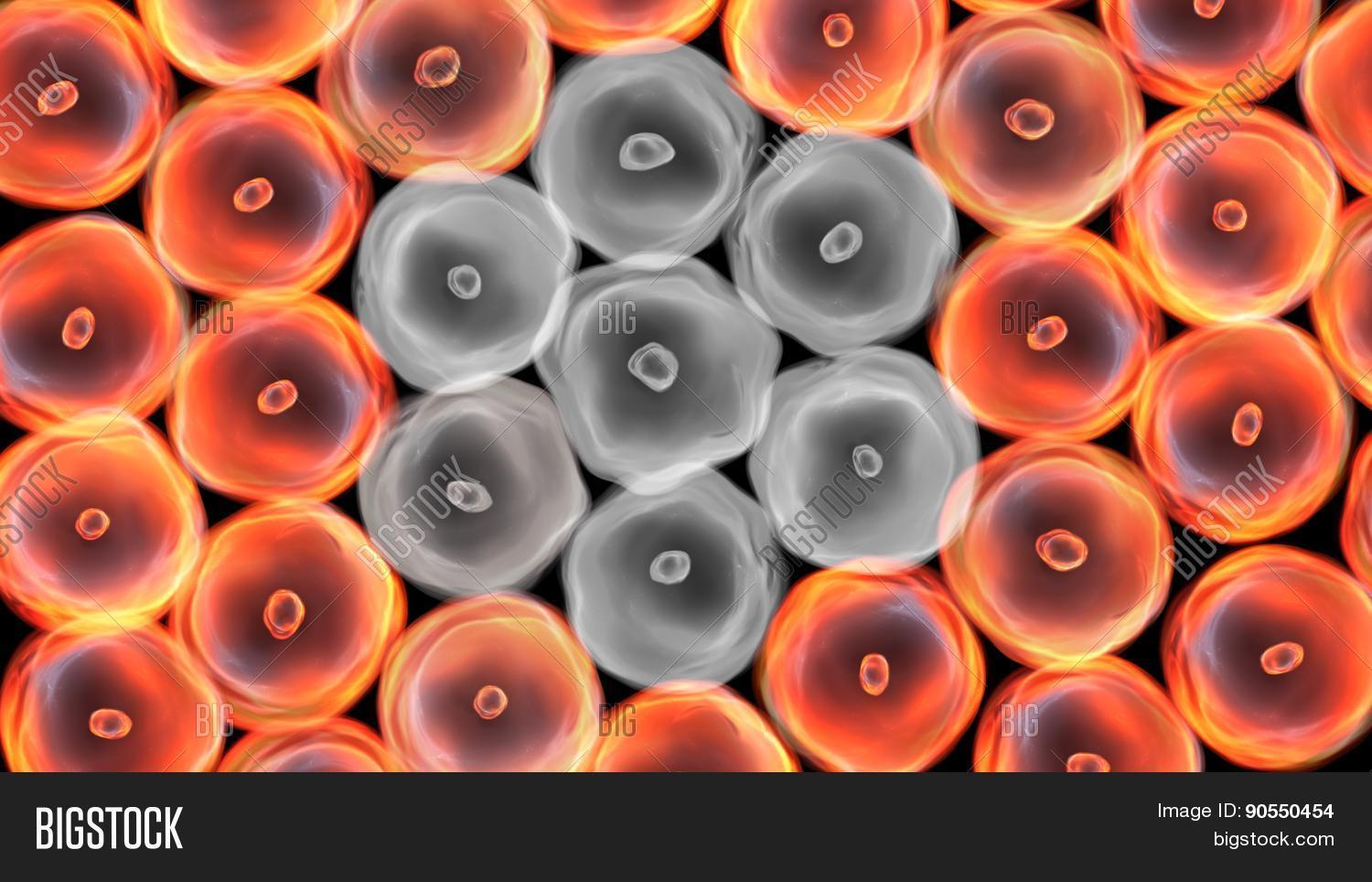 Many Virus Cells Image & Photo (Free Trial) | Bigstock