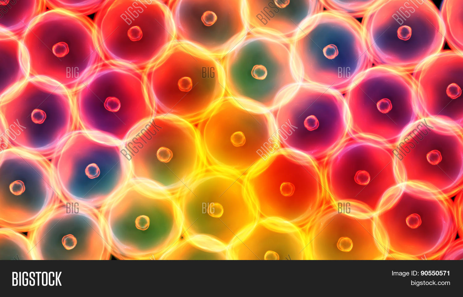 Color Cells Large Size Image & Photo (Free Trial) | Bigstock