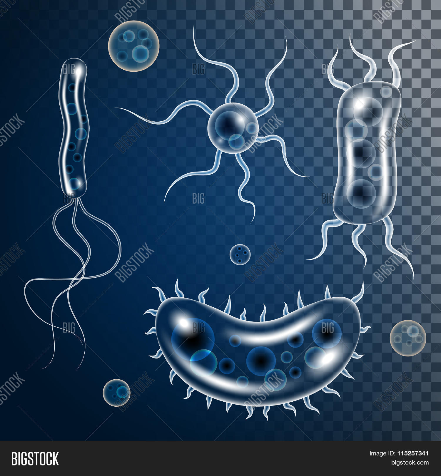 Vector Bacteria, Vector & Photo (Free Trial) | Bigstock