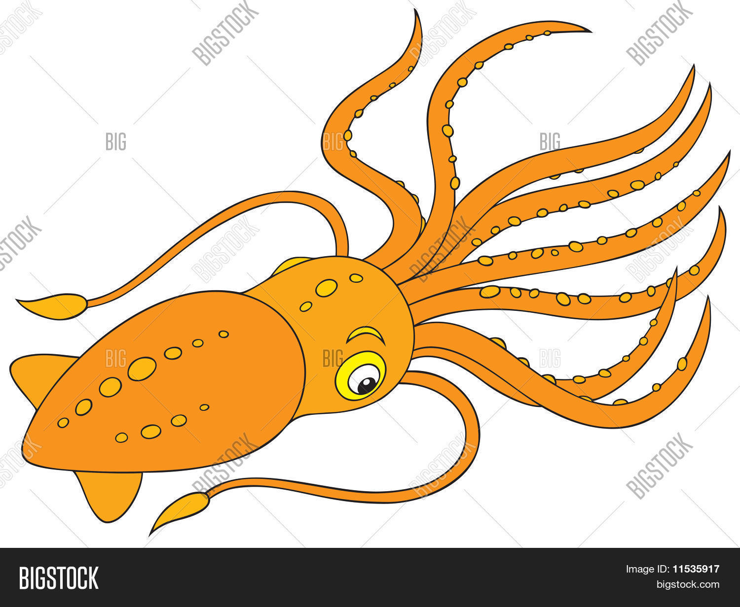 Cuttlefish Vector & Photo (Free Trial) | Bigstock