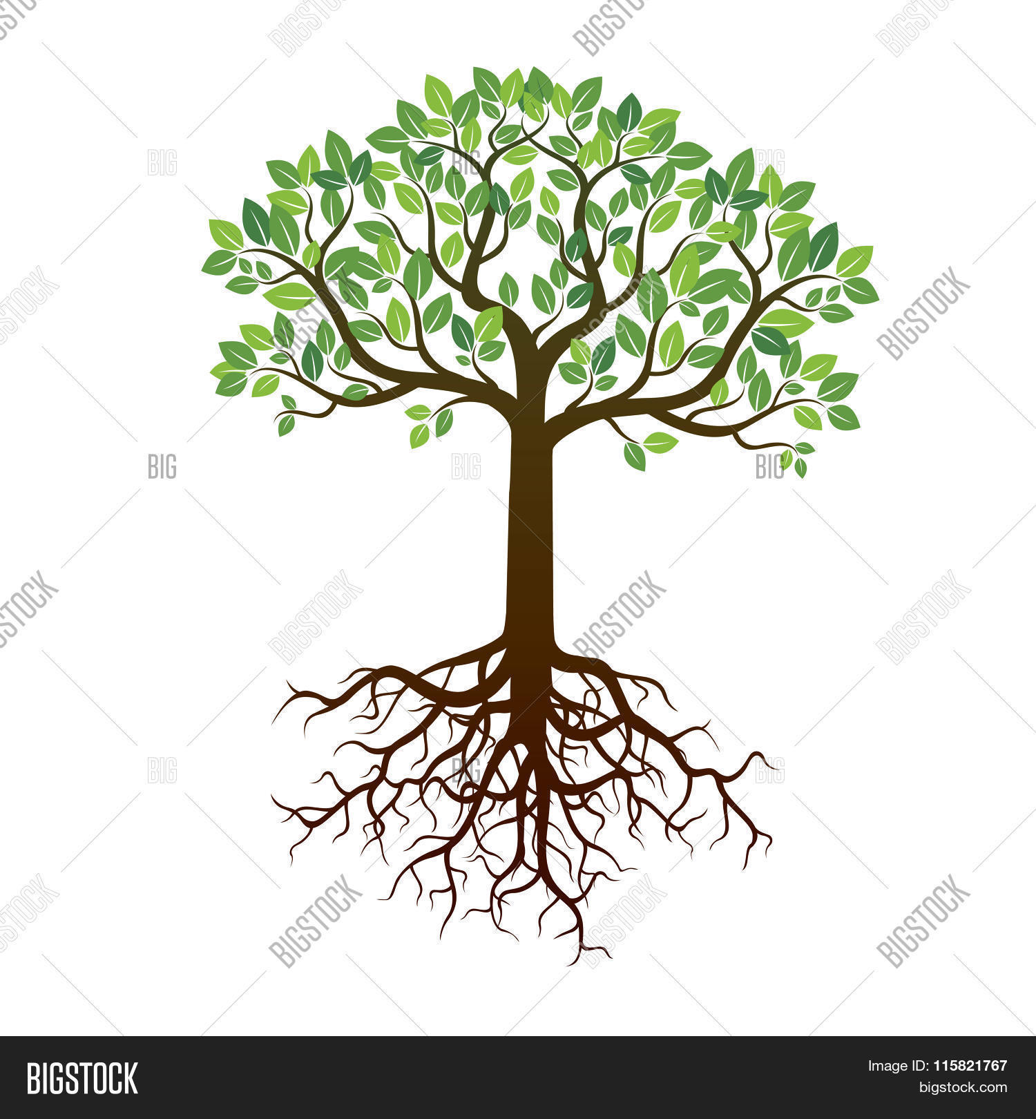Color Tree Roots. Vector & Photo (Free Trial) | Bigstock