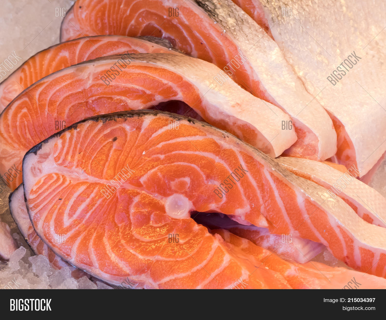 Atlantic Salmon Salmo Image & Photo (Free Trial) | Bigstock