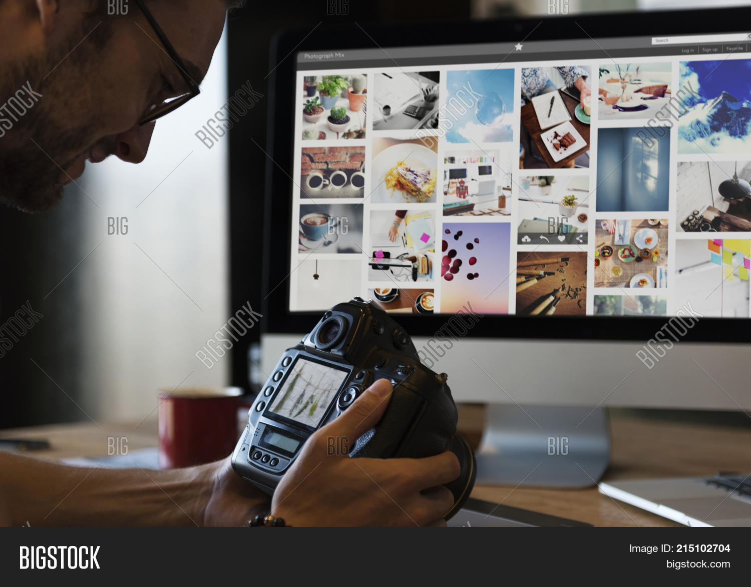 Man Viewing Photos On Image & Photo (Free Trial) | Bigstock
