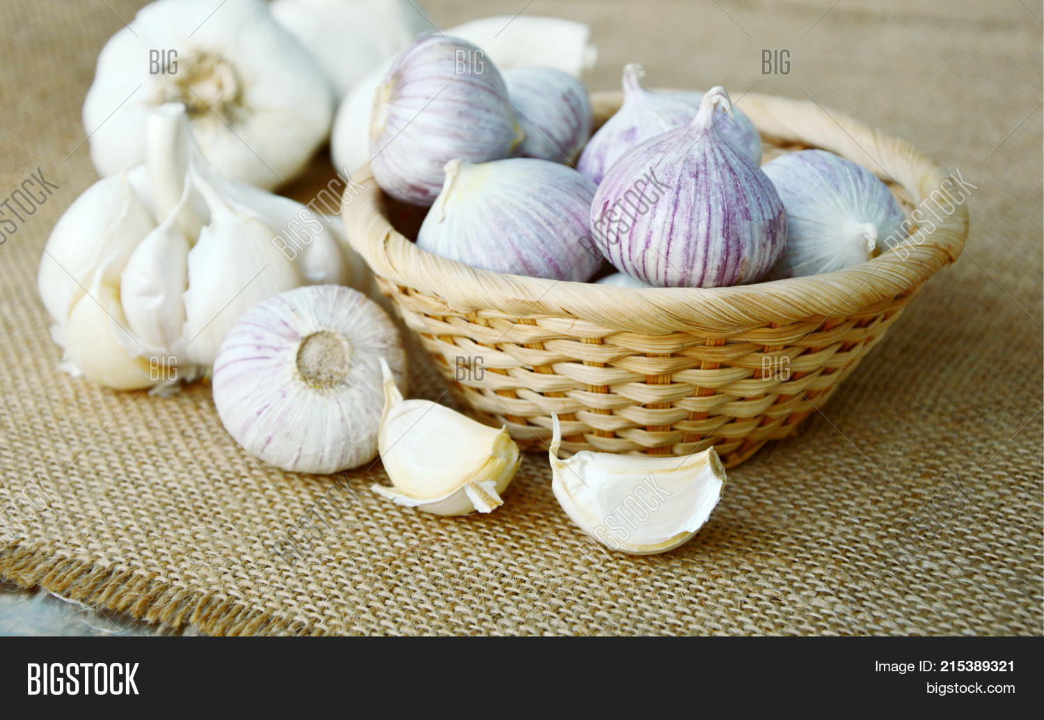 Solo Garlic Single Image & Photo (Free Trial) | Bigstock