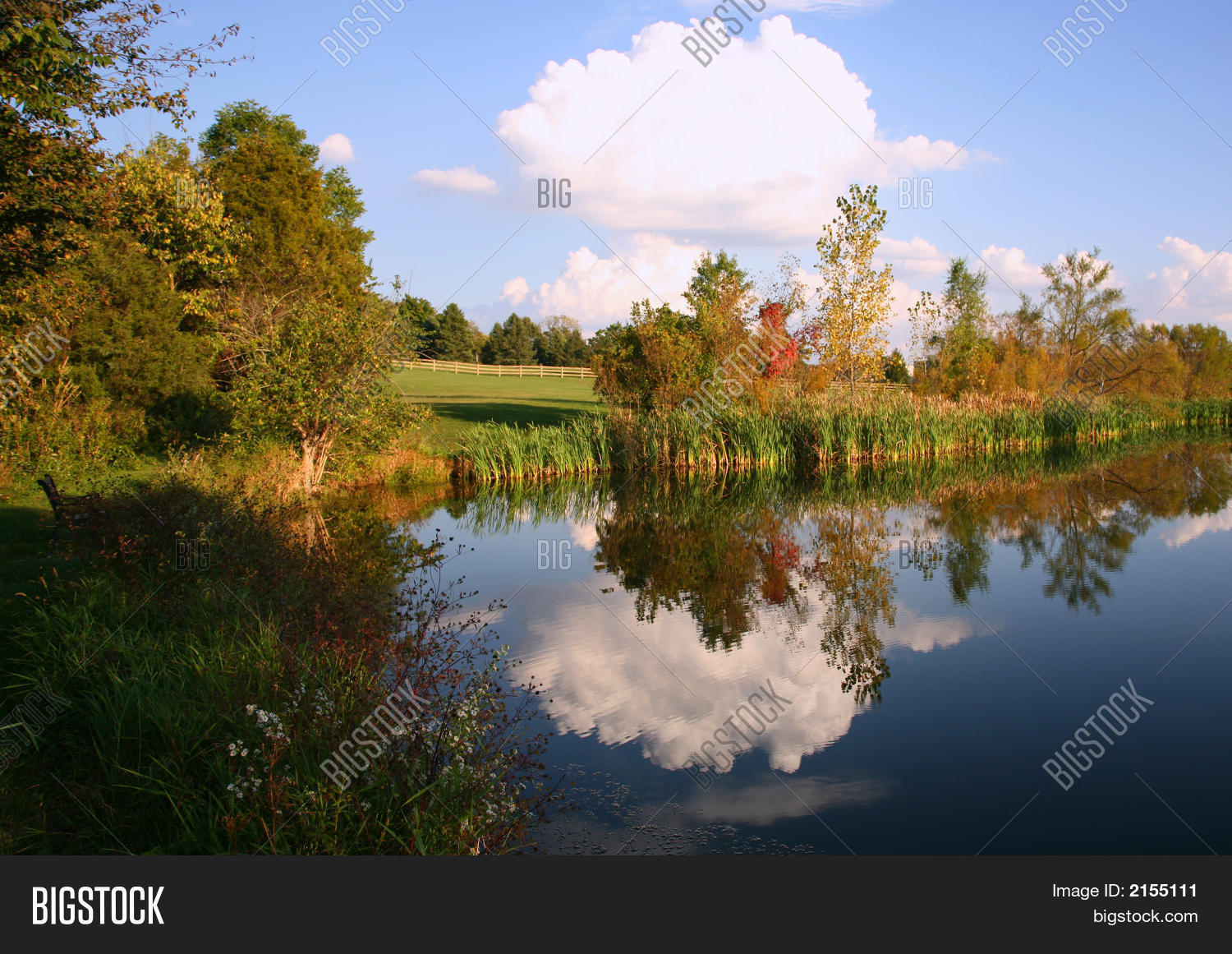 Beautiful Farm Pond Image & Photo (Free Trial) | Bigstock