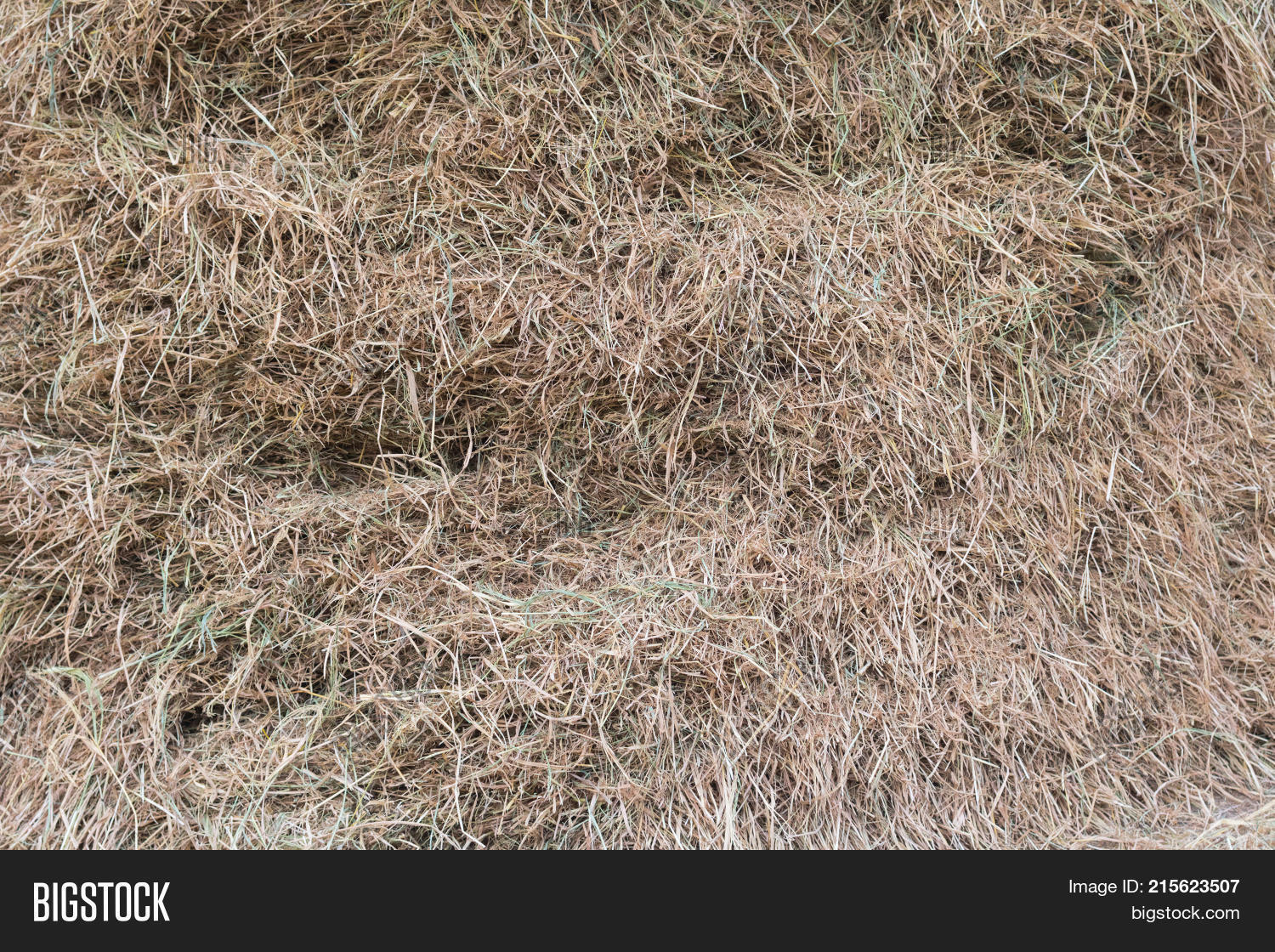Hay Background Texture Image & Photo (Free Trial) | Bigstock