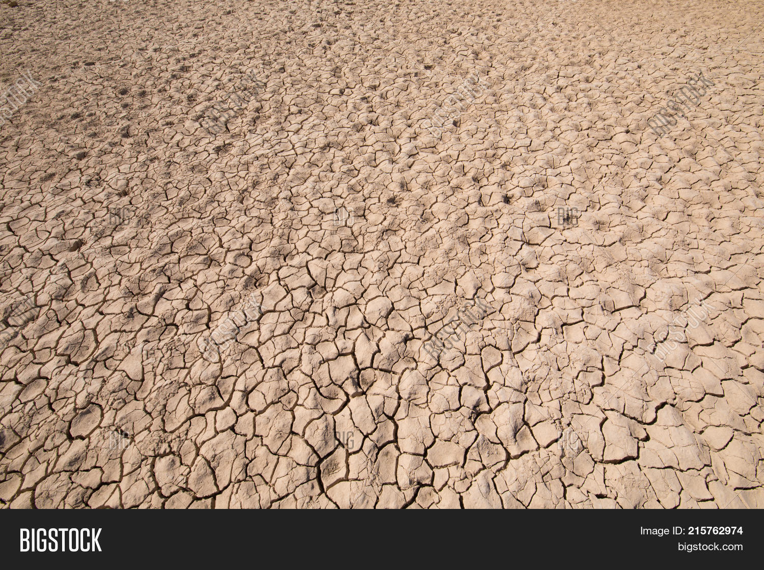 Dry Earth Ground Image & Photo (Free Trial) | Bigstock