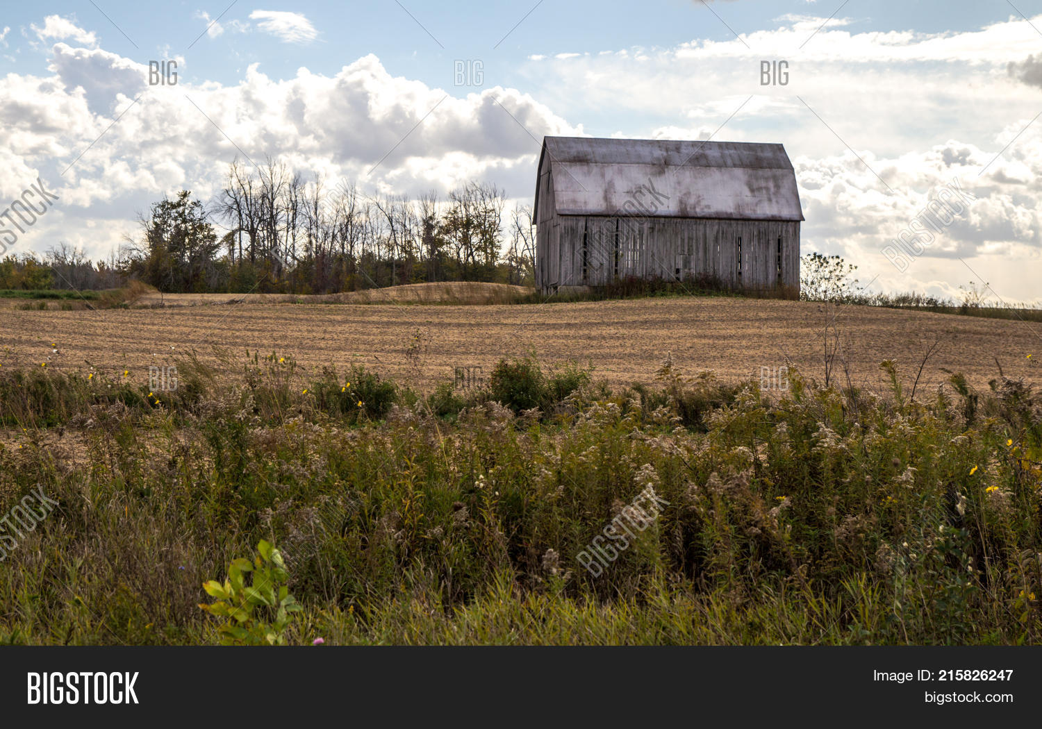 Pastoral Midwest Barn Image & Photo (Free Trial) | Bigstock