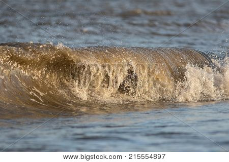 Wave Action. Curl Wave Image & Photo (Free Trial) | Bigstock