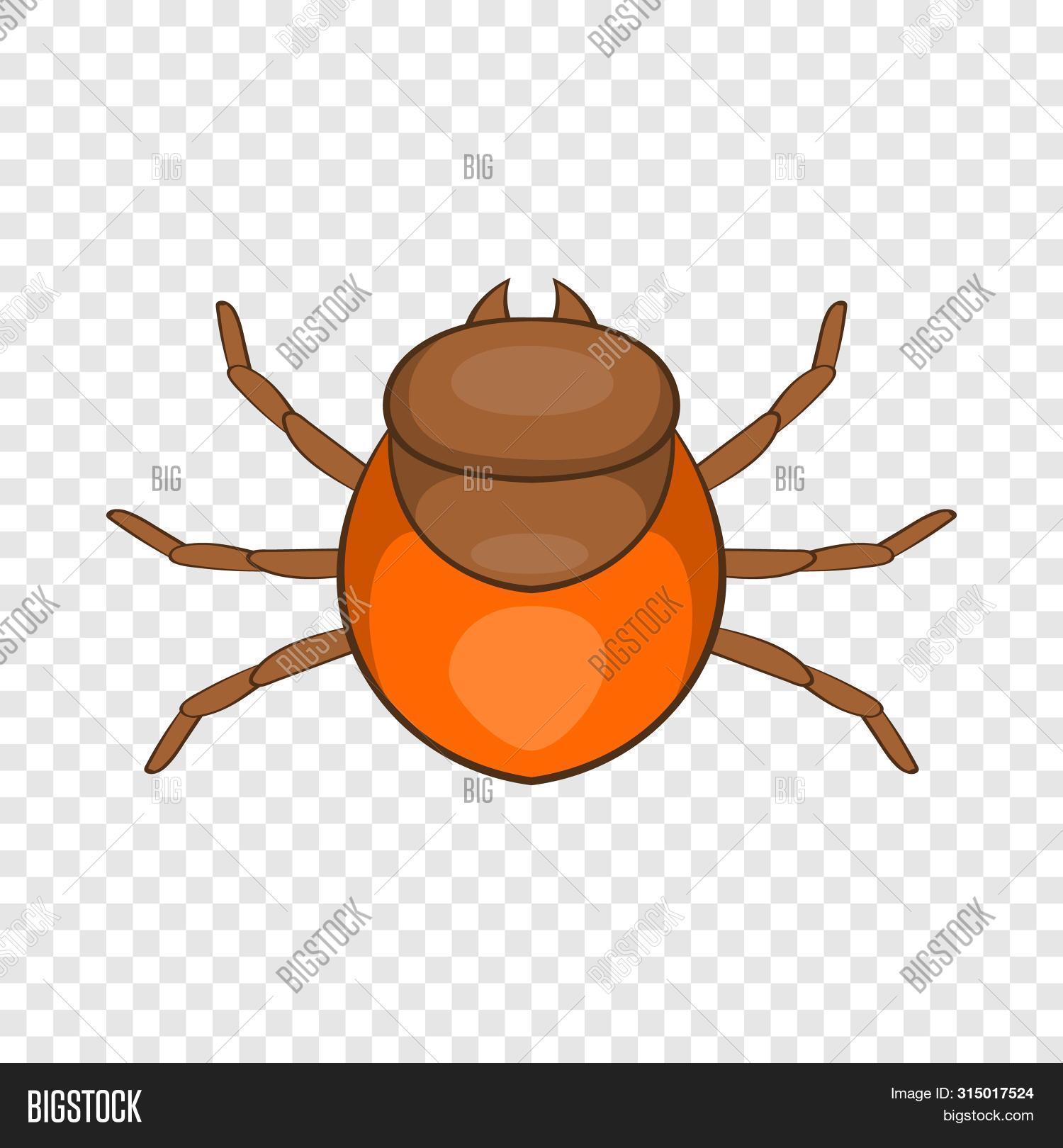 Tick Icon. Cartoon Image & Photo (Free Trial) | Bigstock