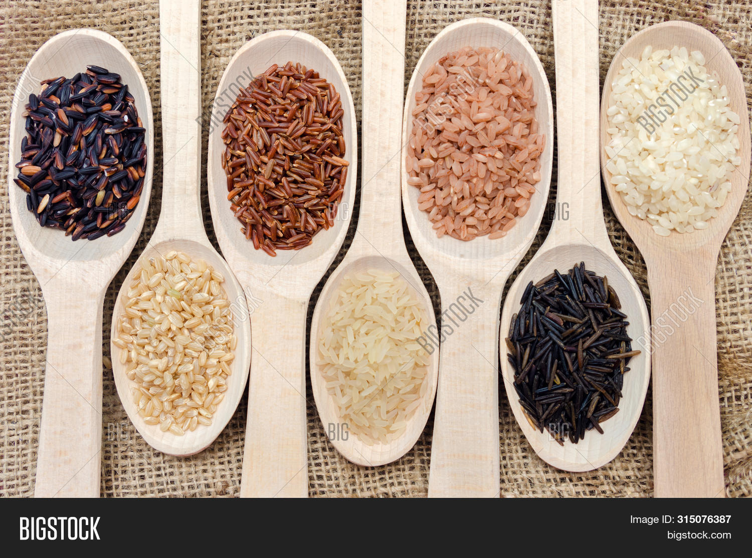 Assortment Different Image & Photo (Free Trial) | Bigstock