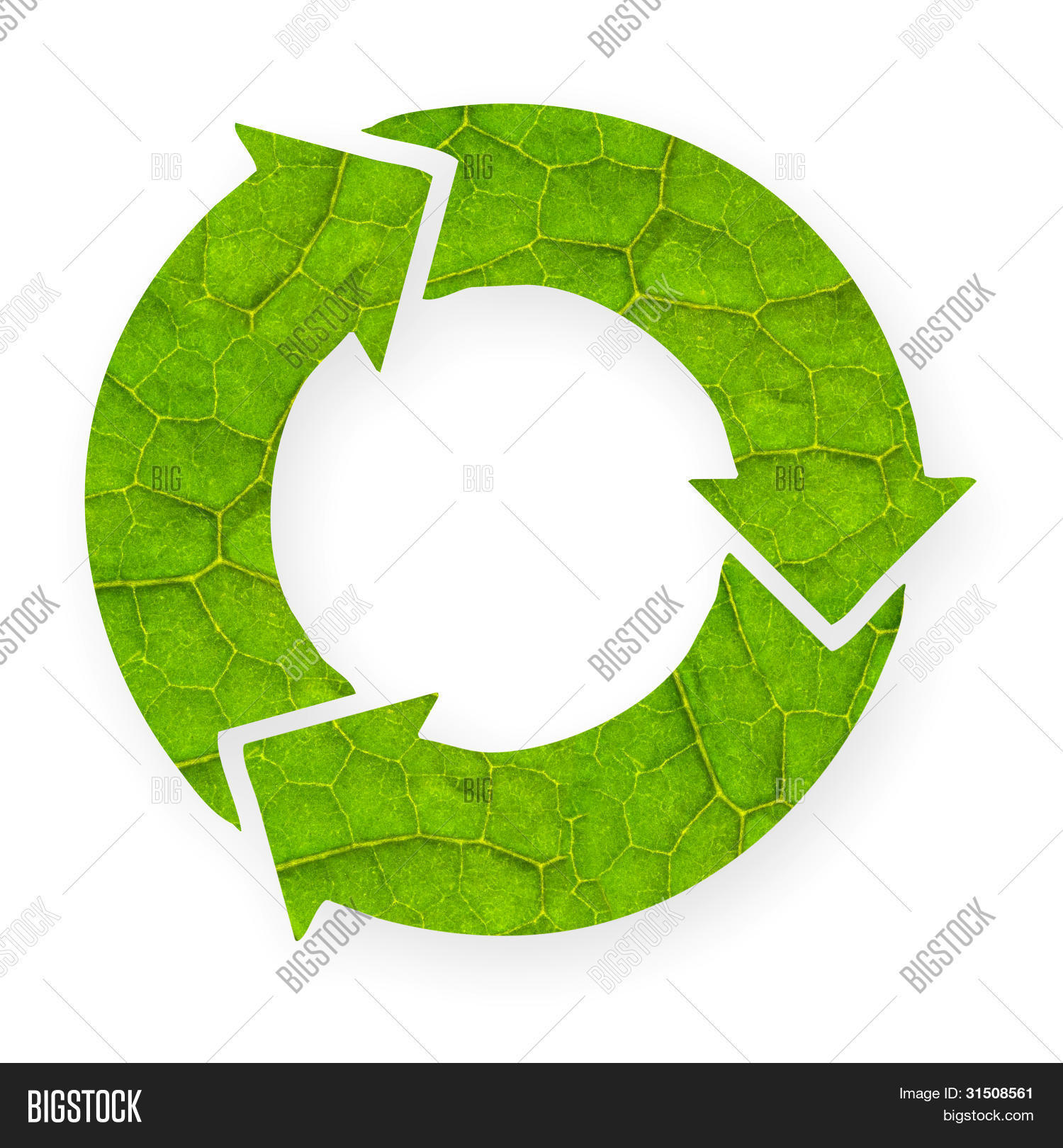 Recycle Symbol Leaf Image & Photo (Free Trial) | Bigstock