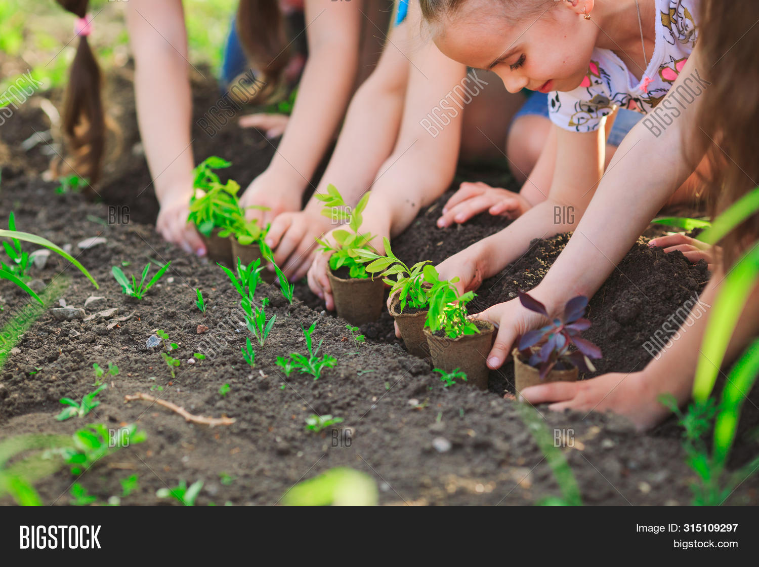 Childrens Hands Image & Photo (Free Trial) | Bigstock