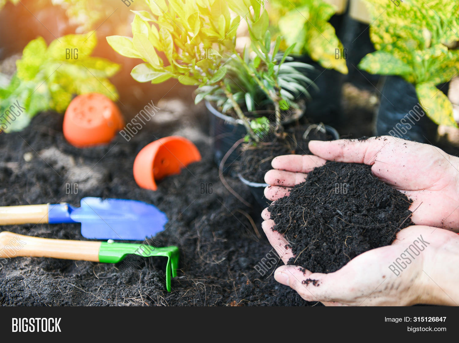 Soil Hand Planting Image & Photo (Free Trial) | Bigstock