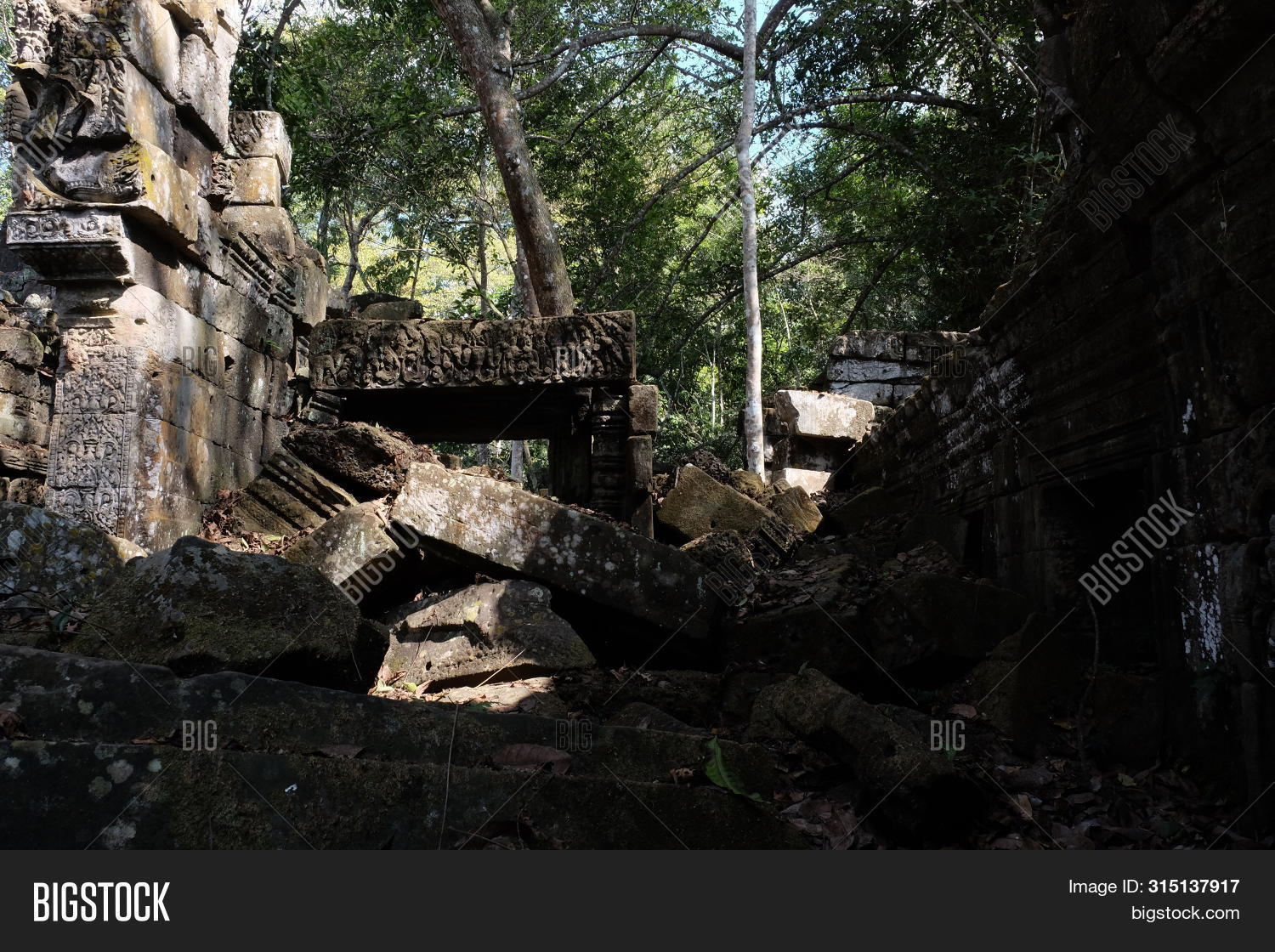 Ancient Ruins Forest. Image & Photo (Free Trial) | Bigstock