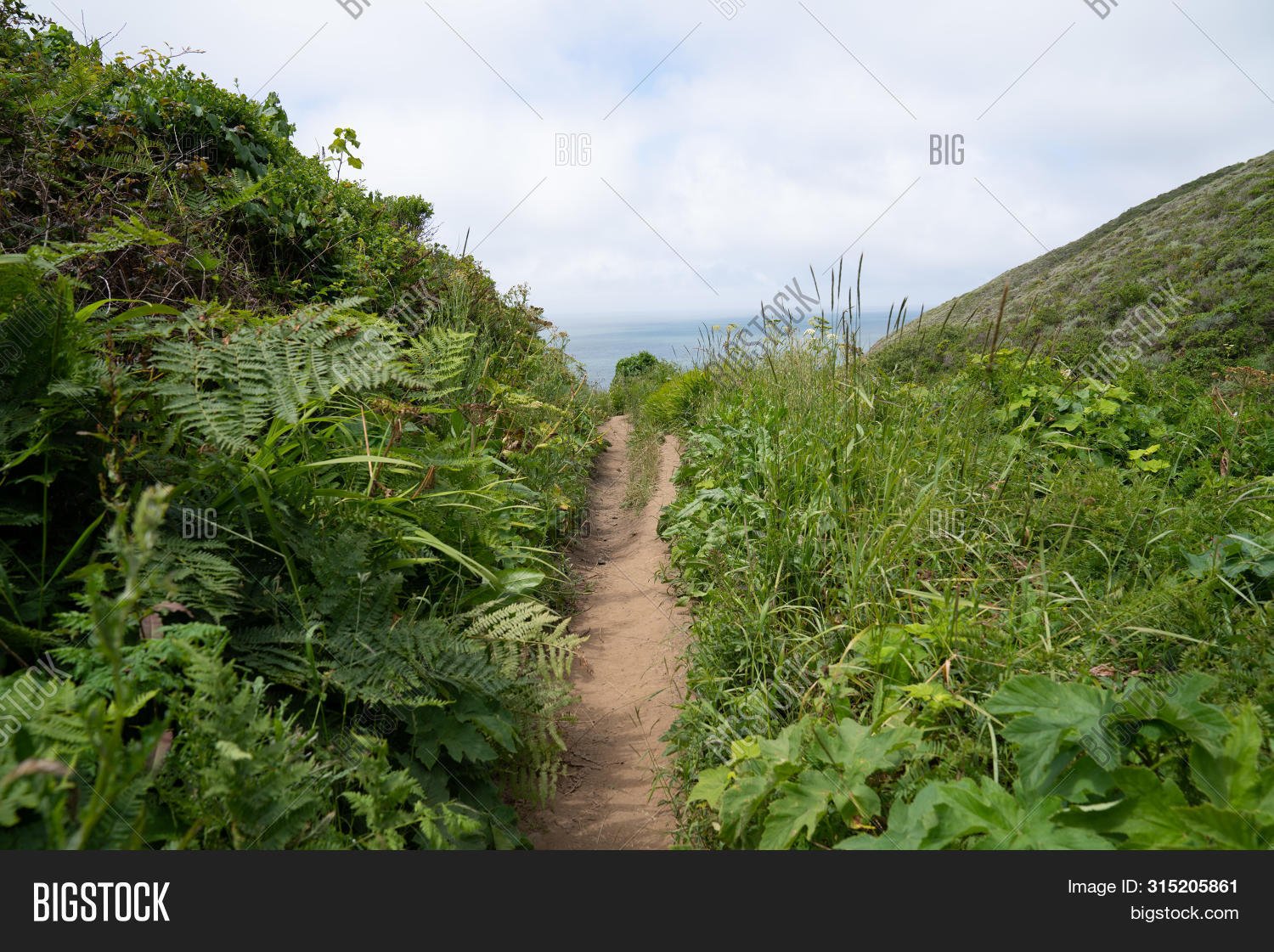 Imagen y foto Narrow Hiking Trail (prueba gratis) | Bigstock
