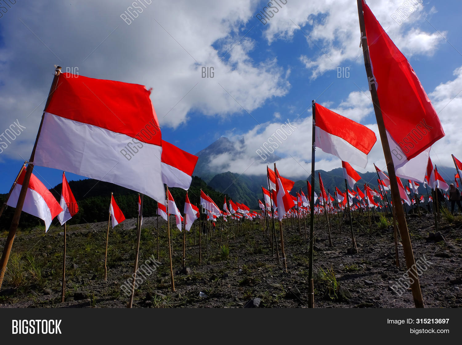 Commemorating Image & Photo (Free Trial) | Bigstock