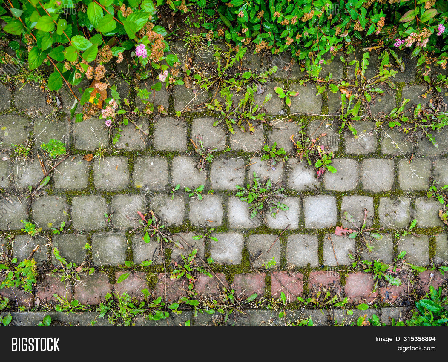 Concrete Pavement Image & Photo (Free Trial) | Bigstock
