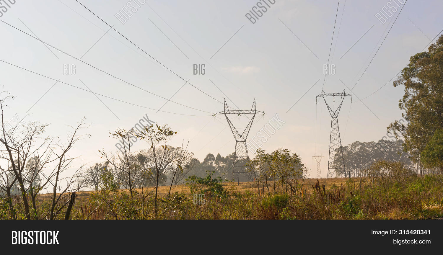 Power Distribution Image & Photo (Free Trial) | Bigstock