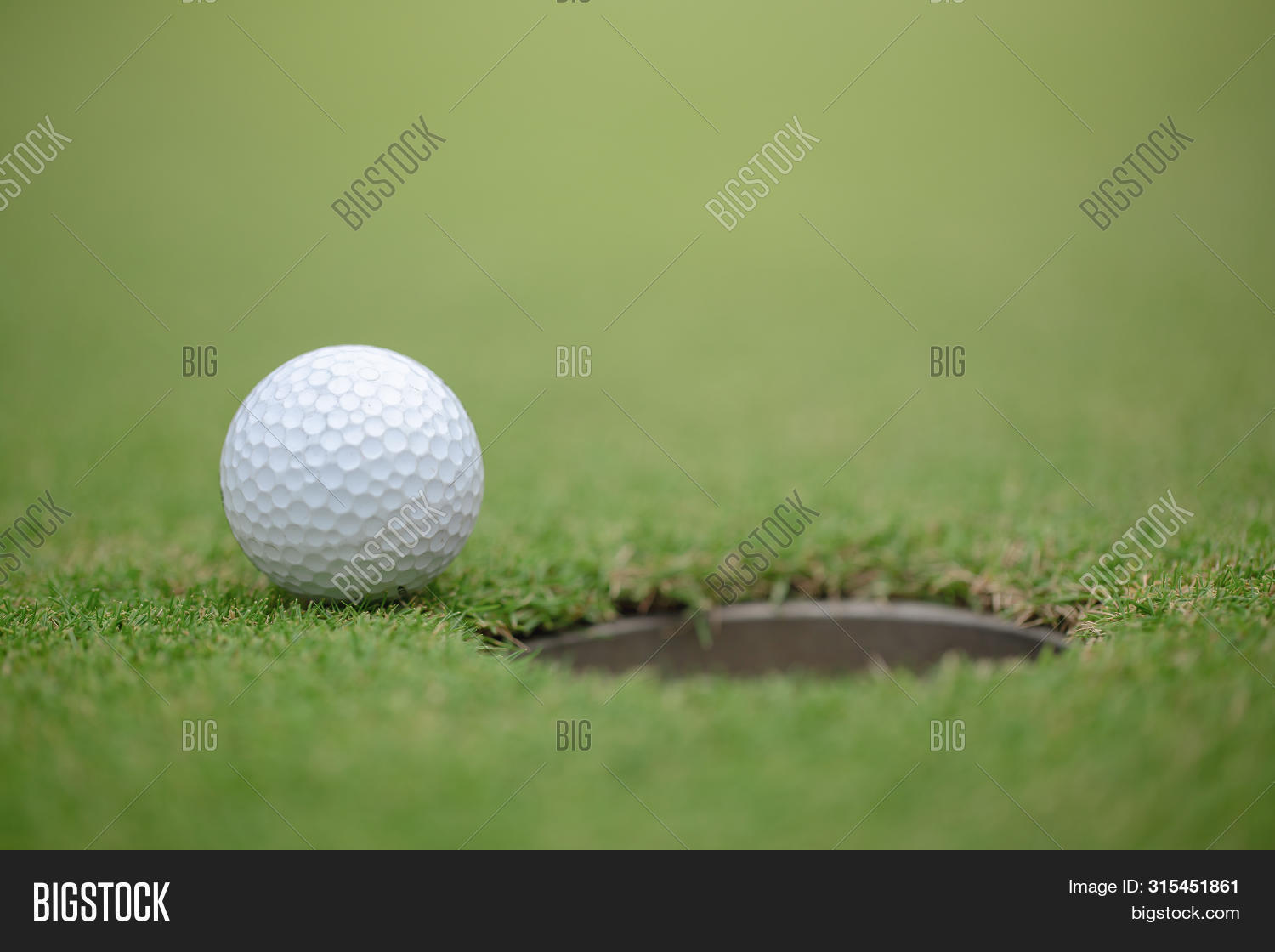 Golf Player Putting On Image & Photo (Free Trial) | Bigstock