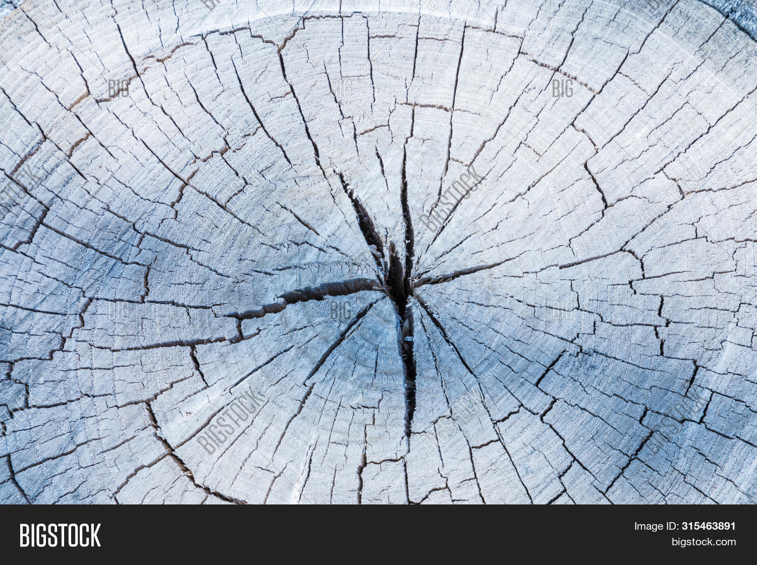 Gray Wood Timber Image & Photo (Free Trial) | Bigstock