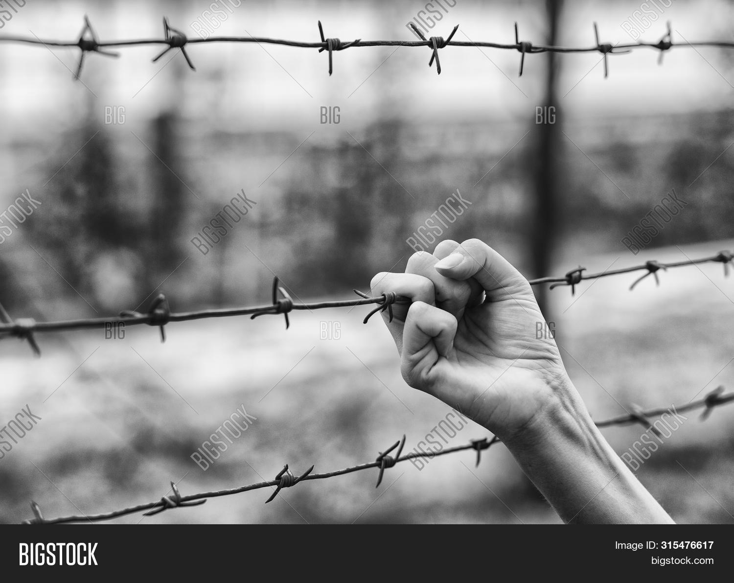 Hand Barbed Wire Image & Photo (Free Trial) | Bigstock