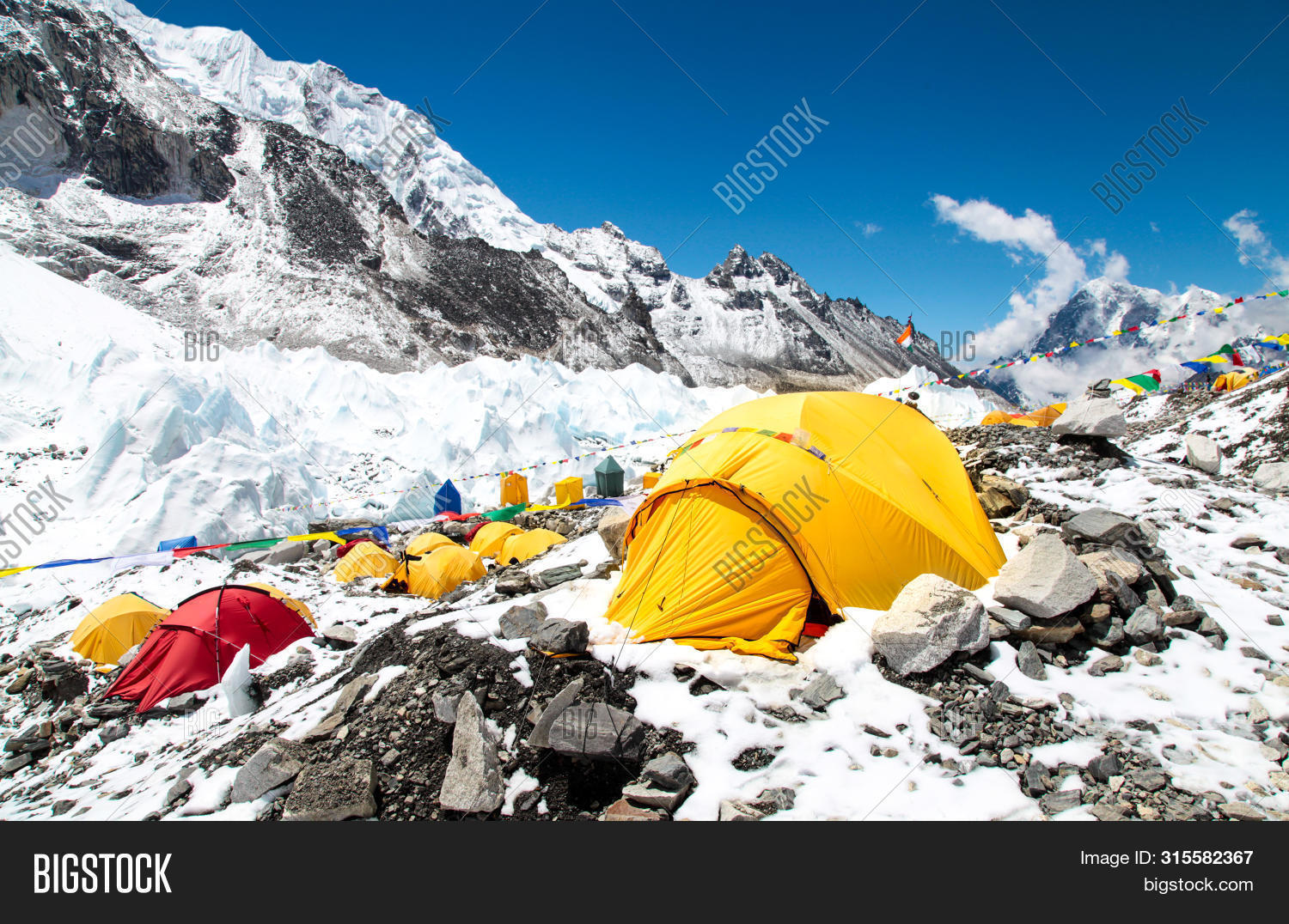Bright Yellow Tents Image & Photo (Free Trial) | Bigstock