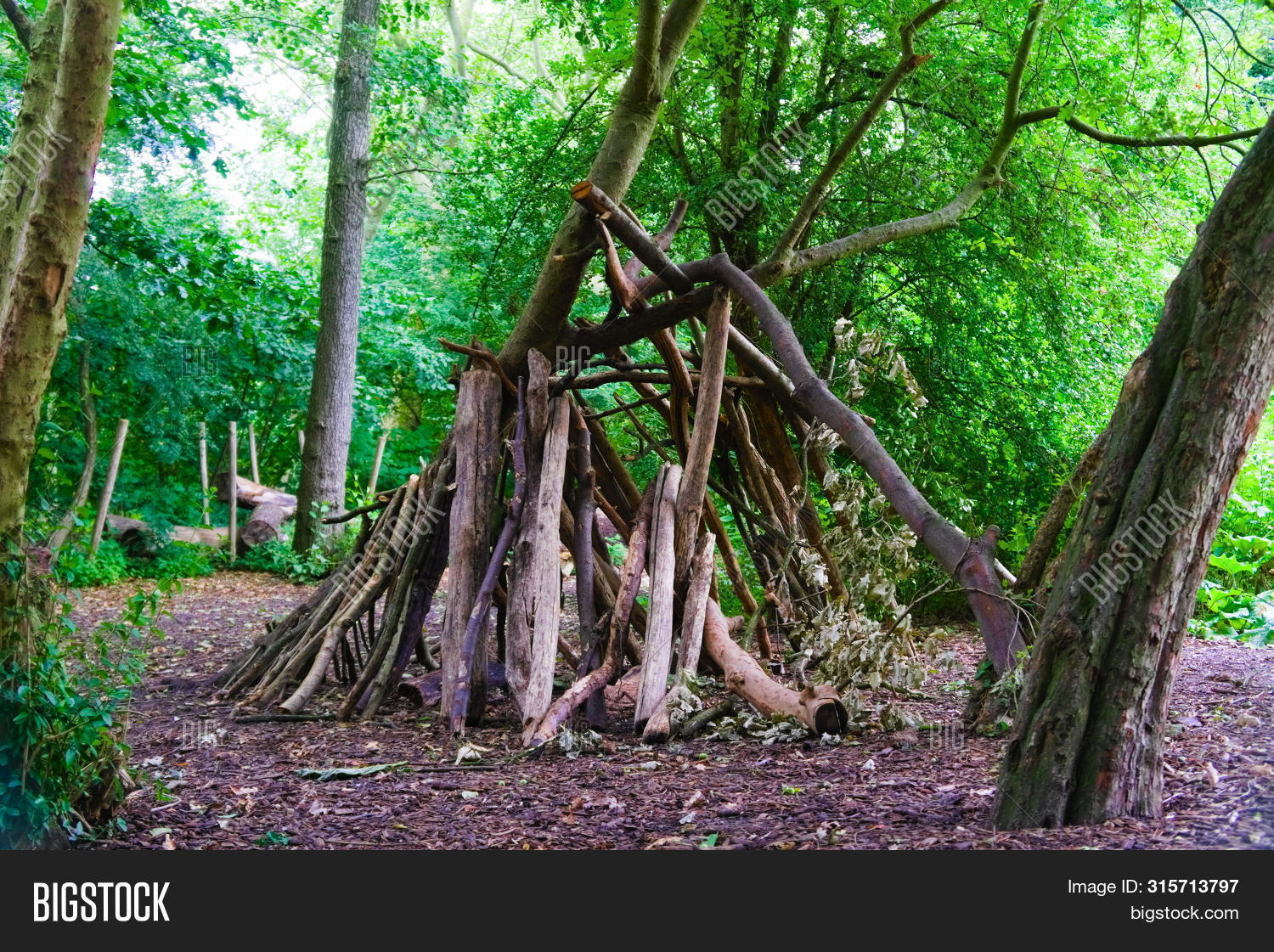 Huts Made Trees By Image & Photo (Free Trial) | Bigstock